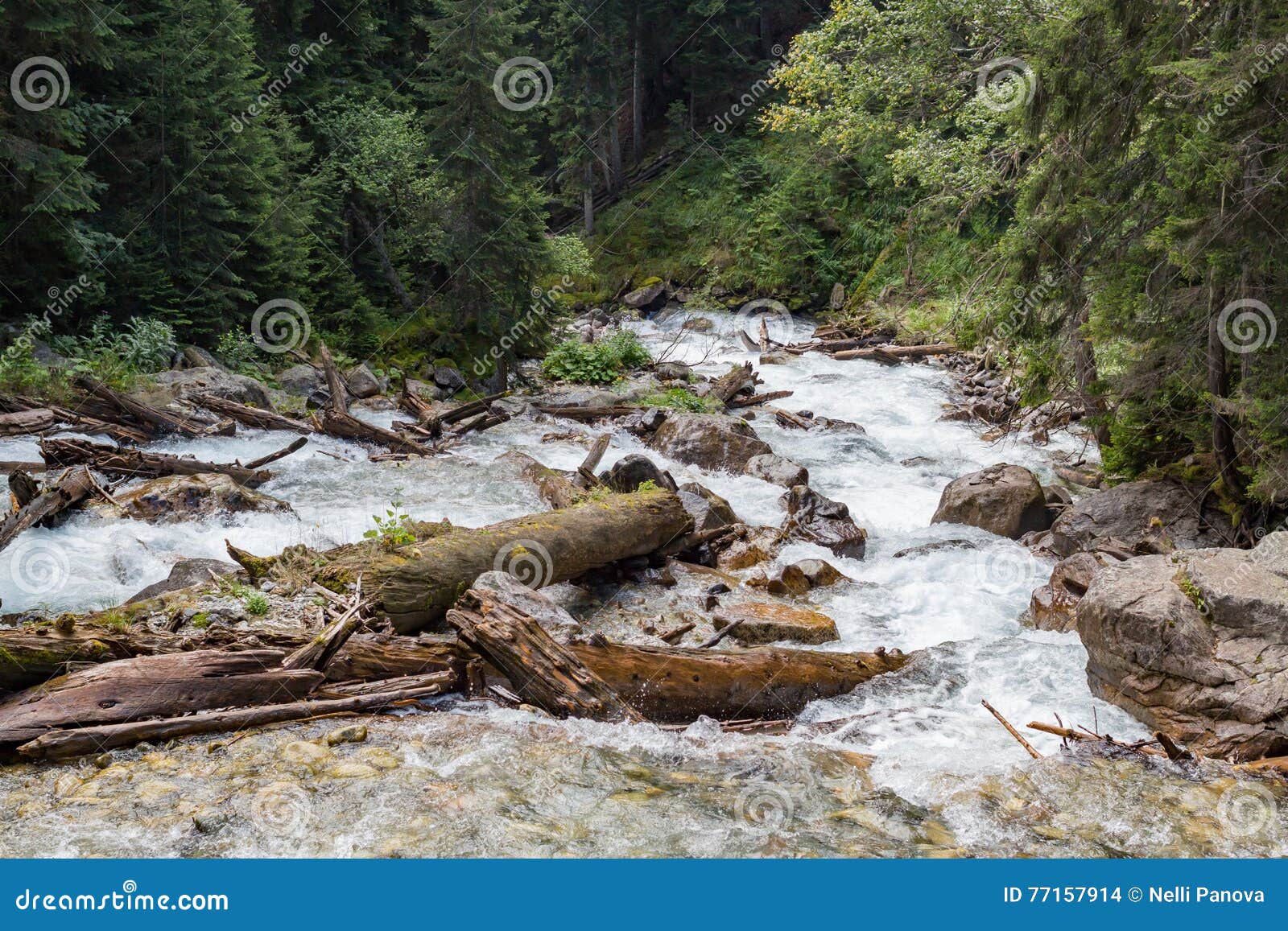 Mountain River in the Green Forest Stock Photo - Image of ecology ...