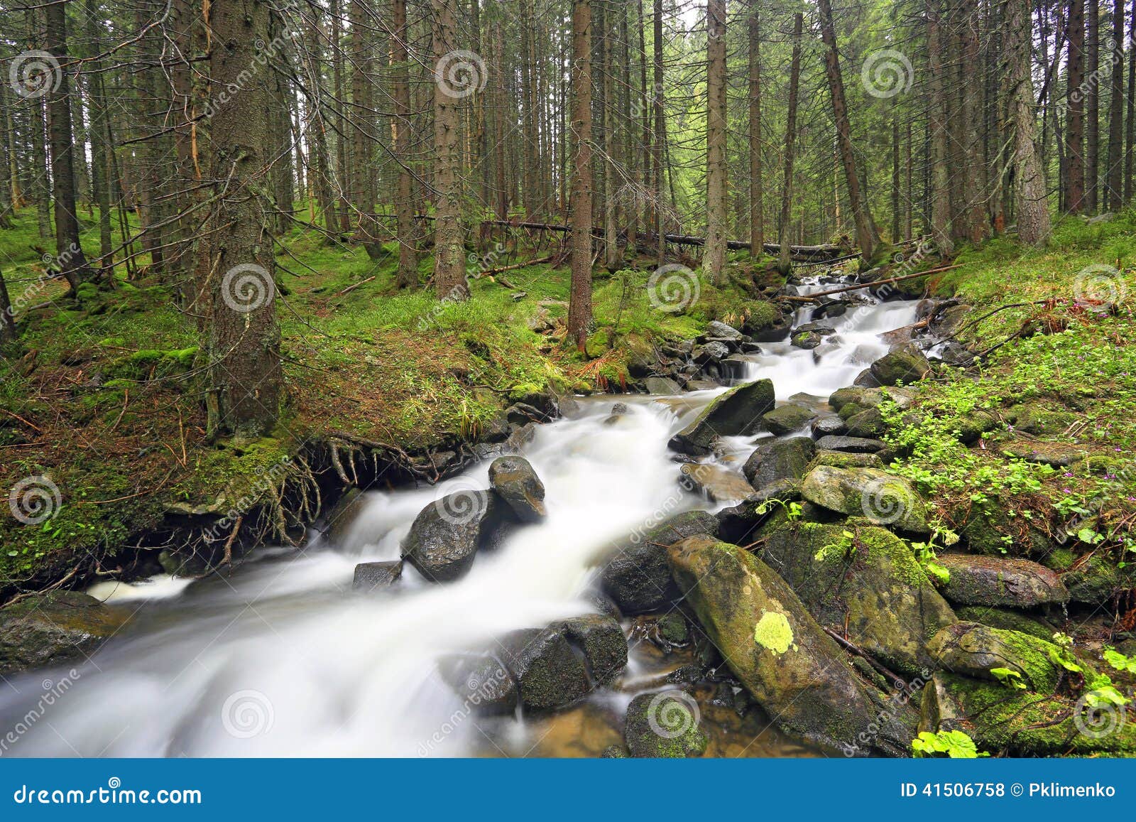 Mountain River in Green Forest Stock Photo - Image of nature, rock ...