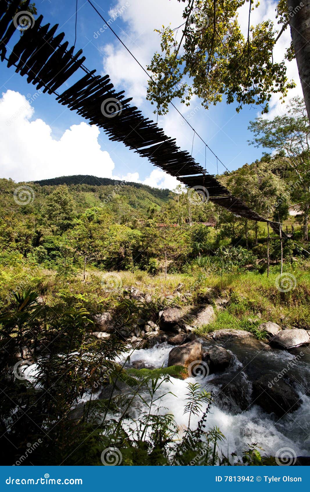 Mountain River with Hanging Bridge Stock Photo - Image of primitive ...
