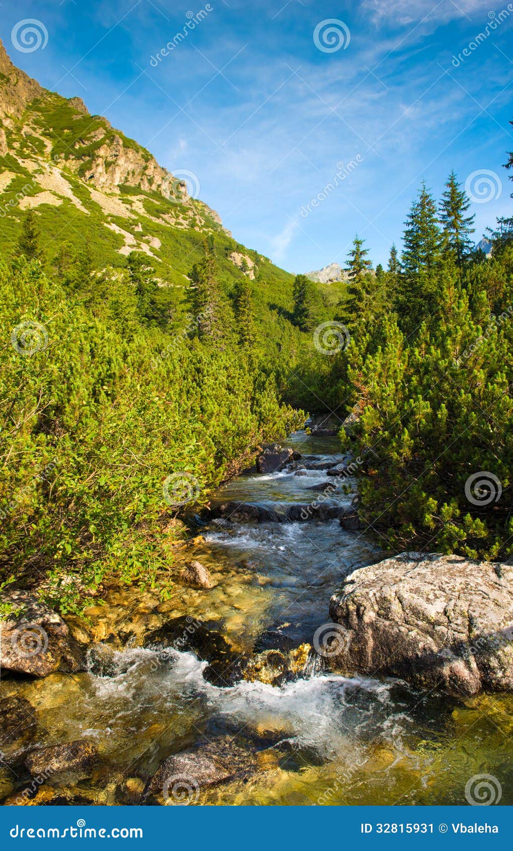 Mountain River in High Tatras in Slovakia Stock Image - Image of ...