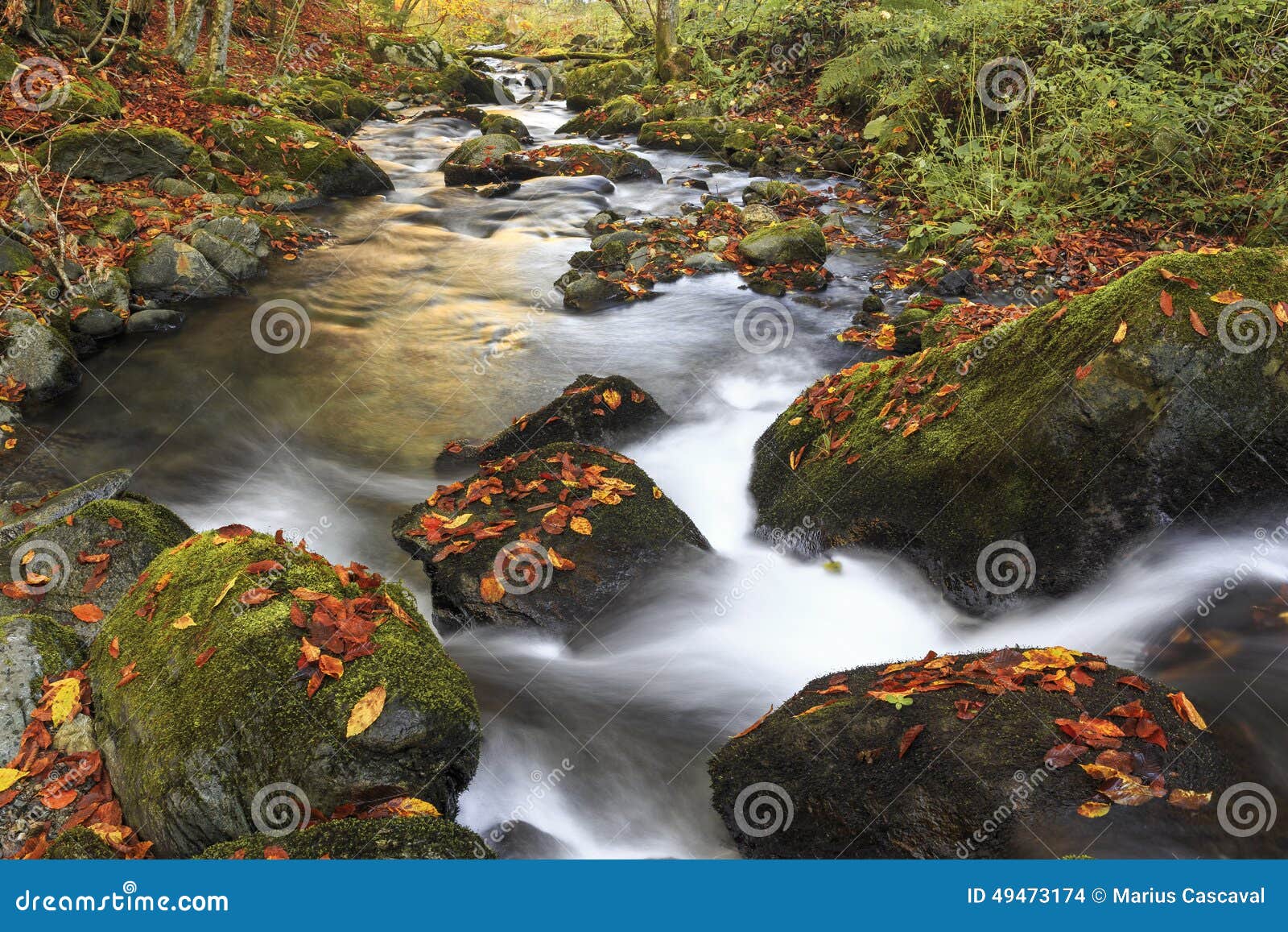 Mountain River in Late Autumn Stock Photo - Image of late, nature: 49473174