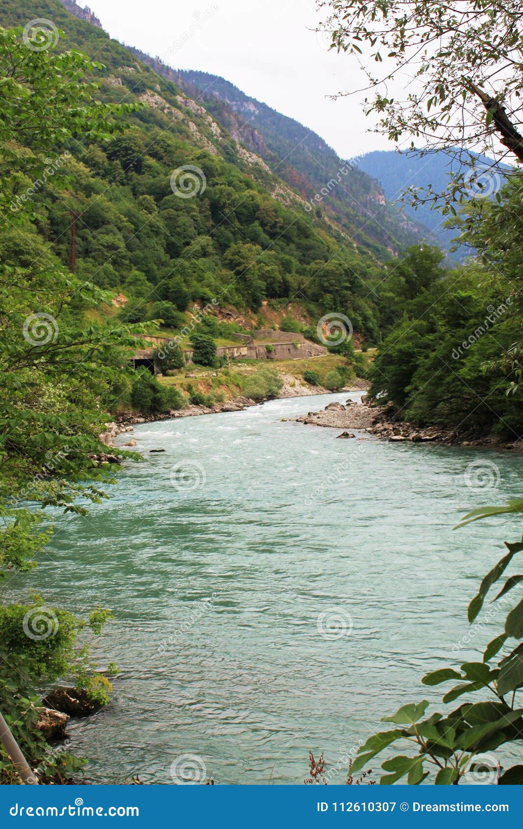 Mountain River and Lots of Greenery Stock Image - Image of fast, river ...