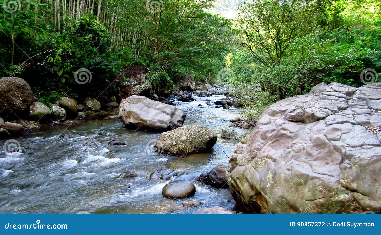 Mountain River in the Middle of Forest, in Tasikmalaya, West Java ...