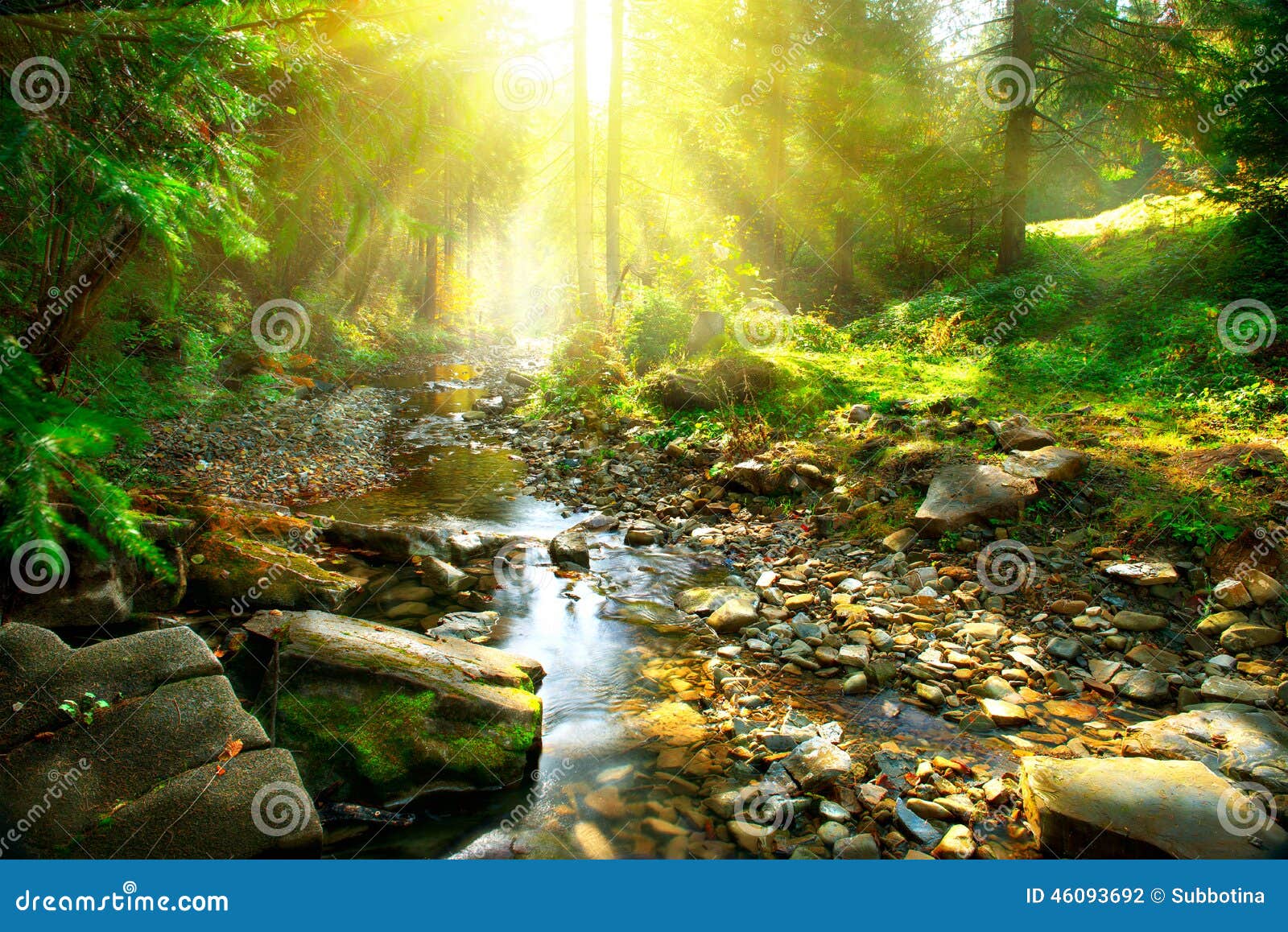 Mountain River in the Middle of Green Forest Stock Photo - Image of ...