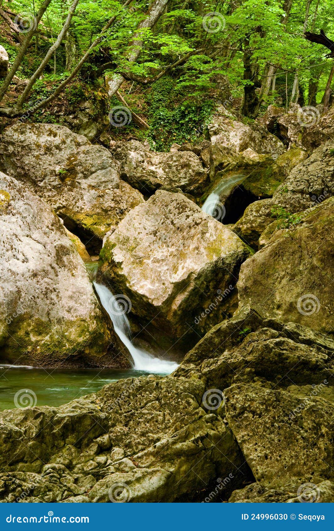 Mountain River in the Morning Sun Stock Photo - Image of lush ...
