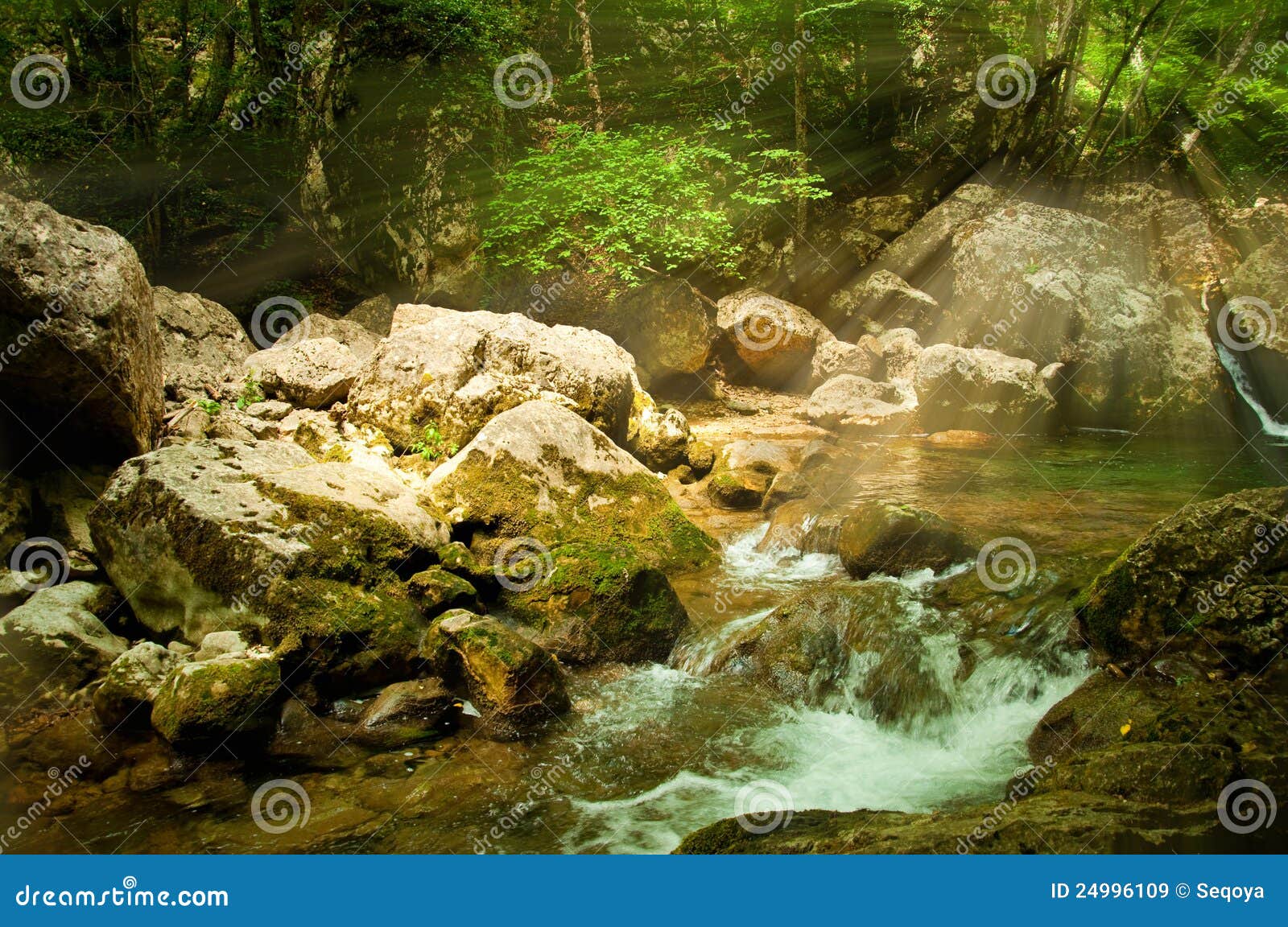 Mountain River in the Morning Sun, Summer Stock Image - Image of clean ...
