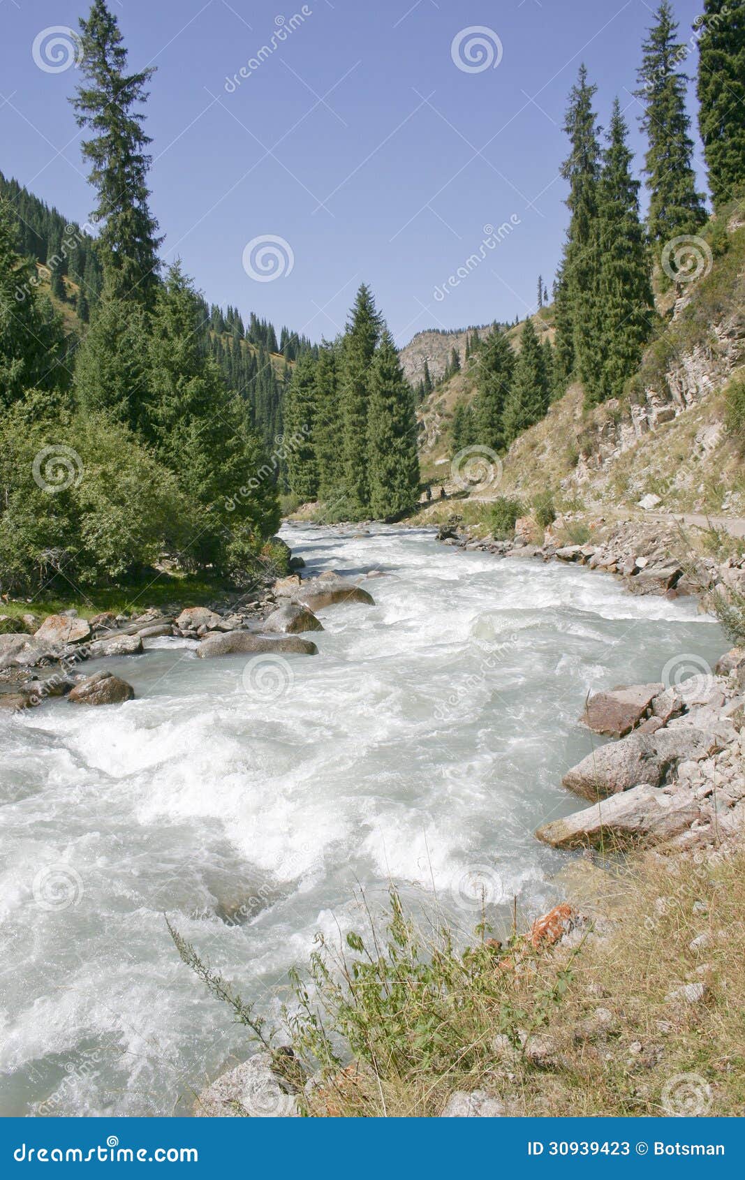 The mountain river. stock image. Image of highlands, nature - 30939423