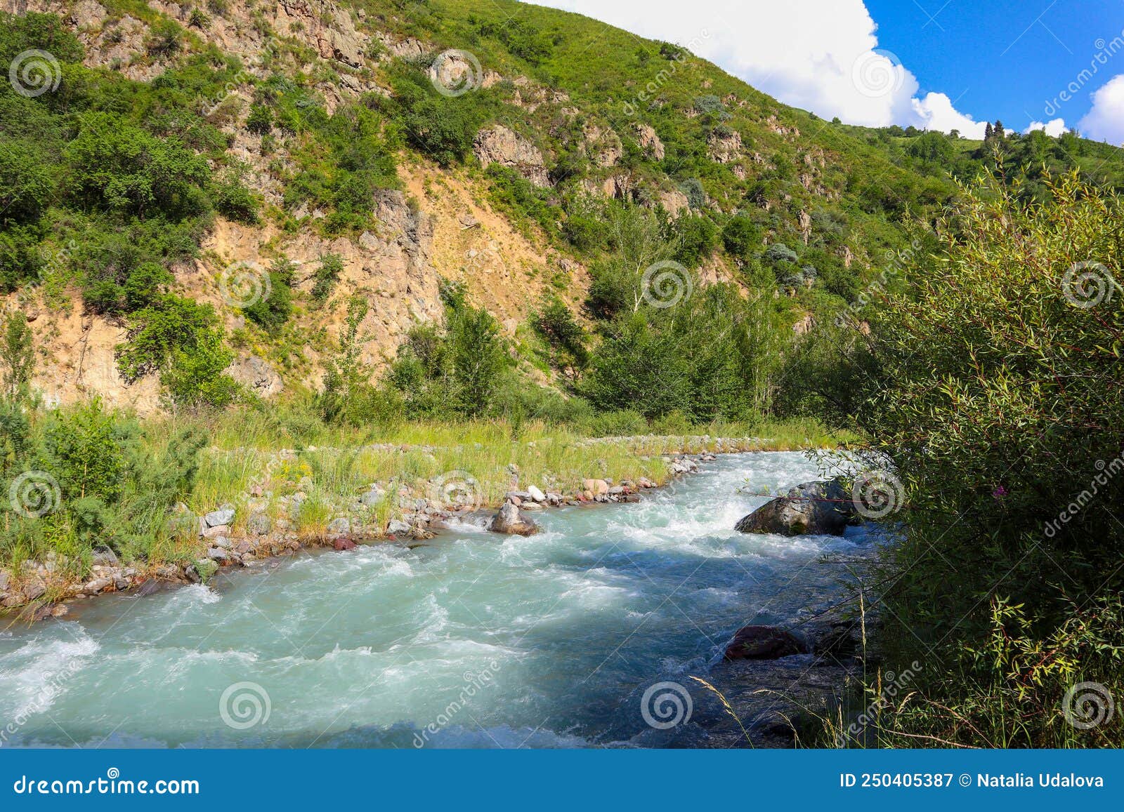 A Mountain River among Mountains and Trees Stock Image - Image of ...
