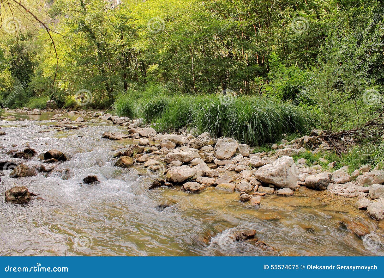 Mountain river stock image. Image of grass, musone, trip - 55574075