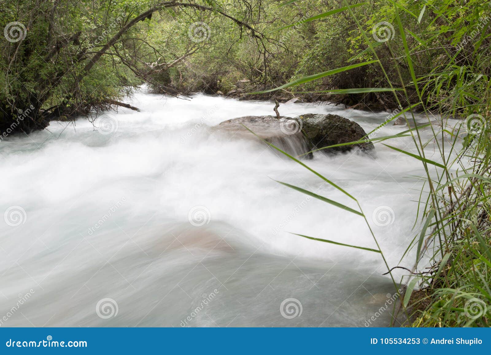 Mountain river in nature stock image. Image of flora - 105534253