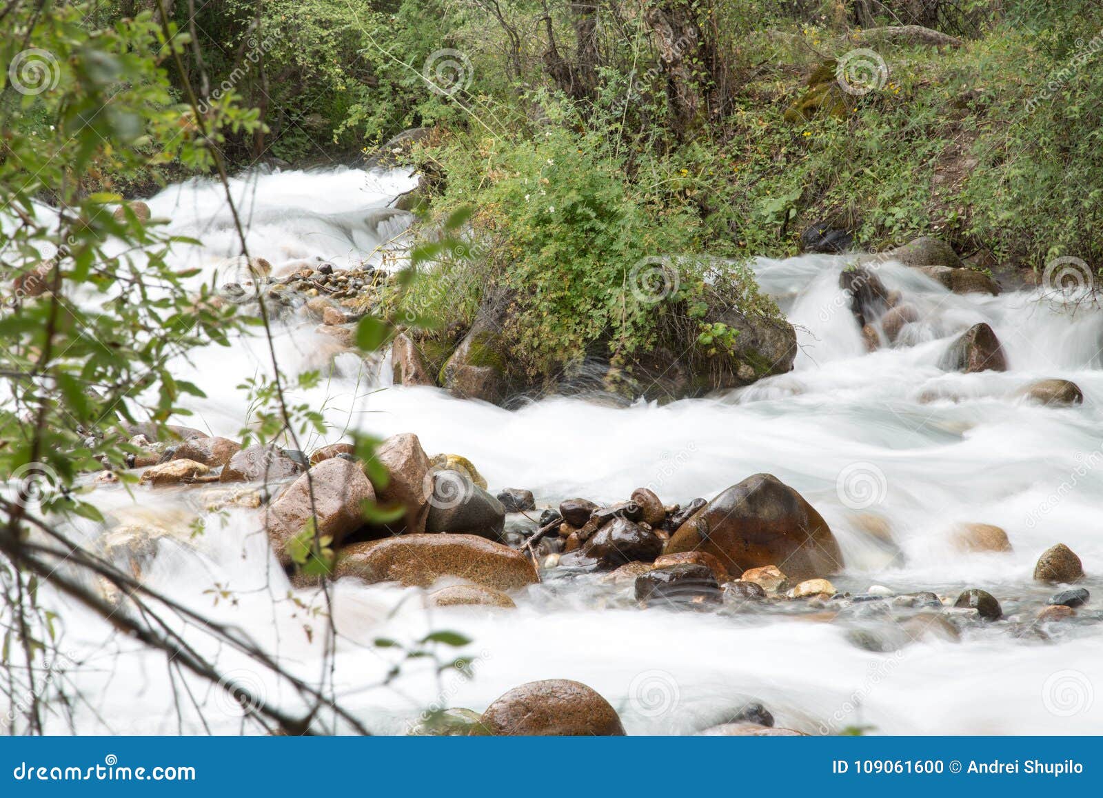 Mountain river in nature stock photo. Image of ritsa - 109061600