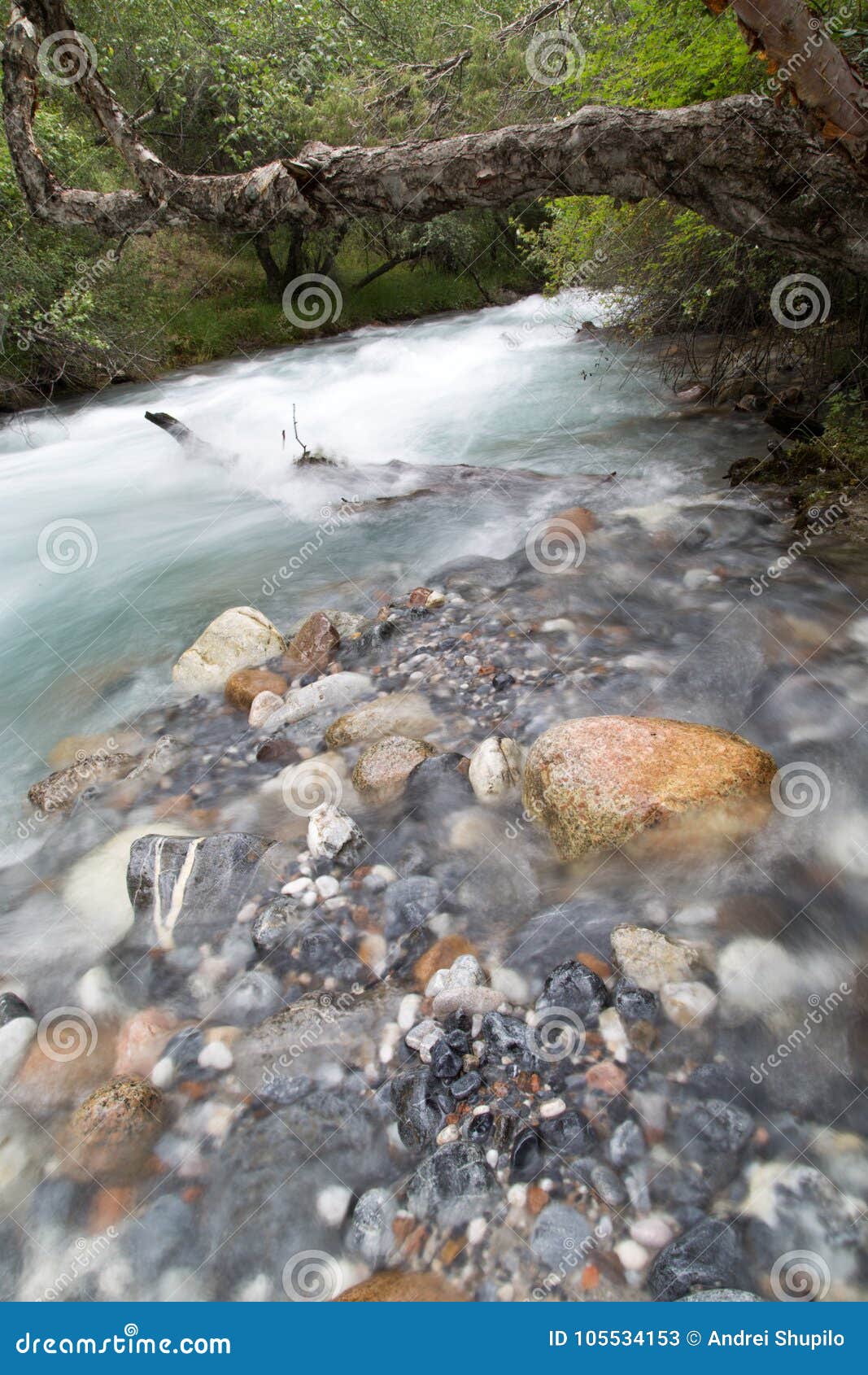 Mountain river in nature stock image. Image of flora - 105534153
