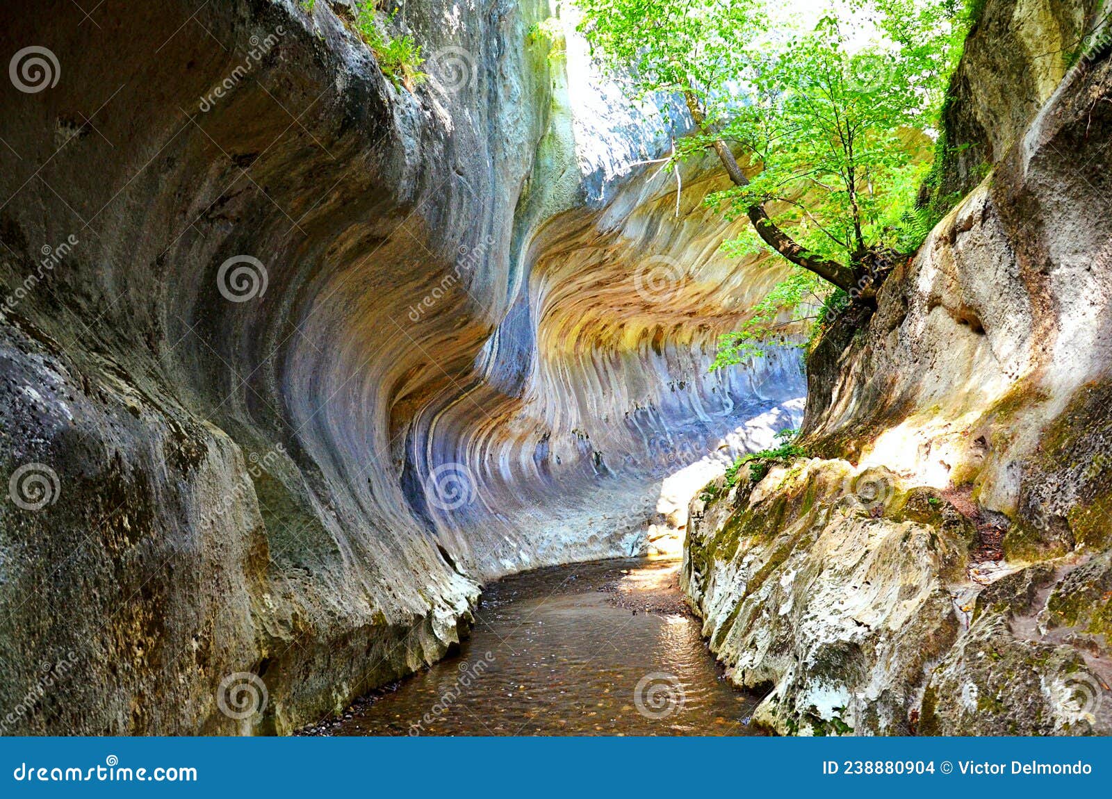Mountain River Passing Trough a Canyon Stock Photo - Image of tree ...