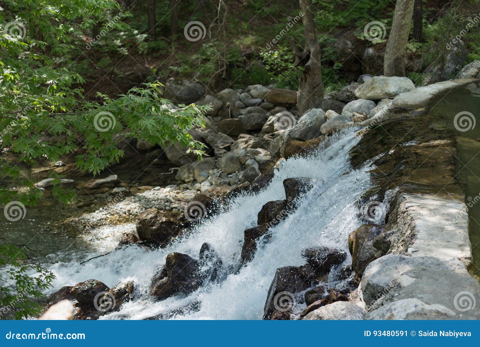 Mountain River with Powerful Water Flow Stock Image - Image of outdoor ...