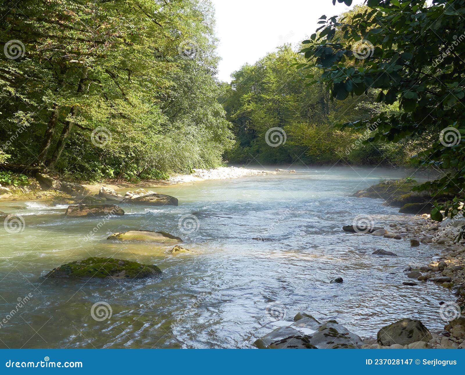 Mountain river. Pure water stock image. Image of pure - 237028147