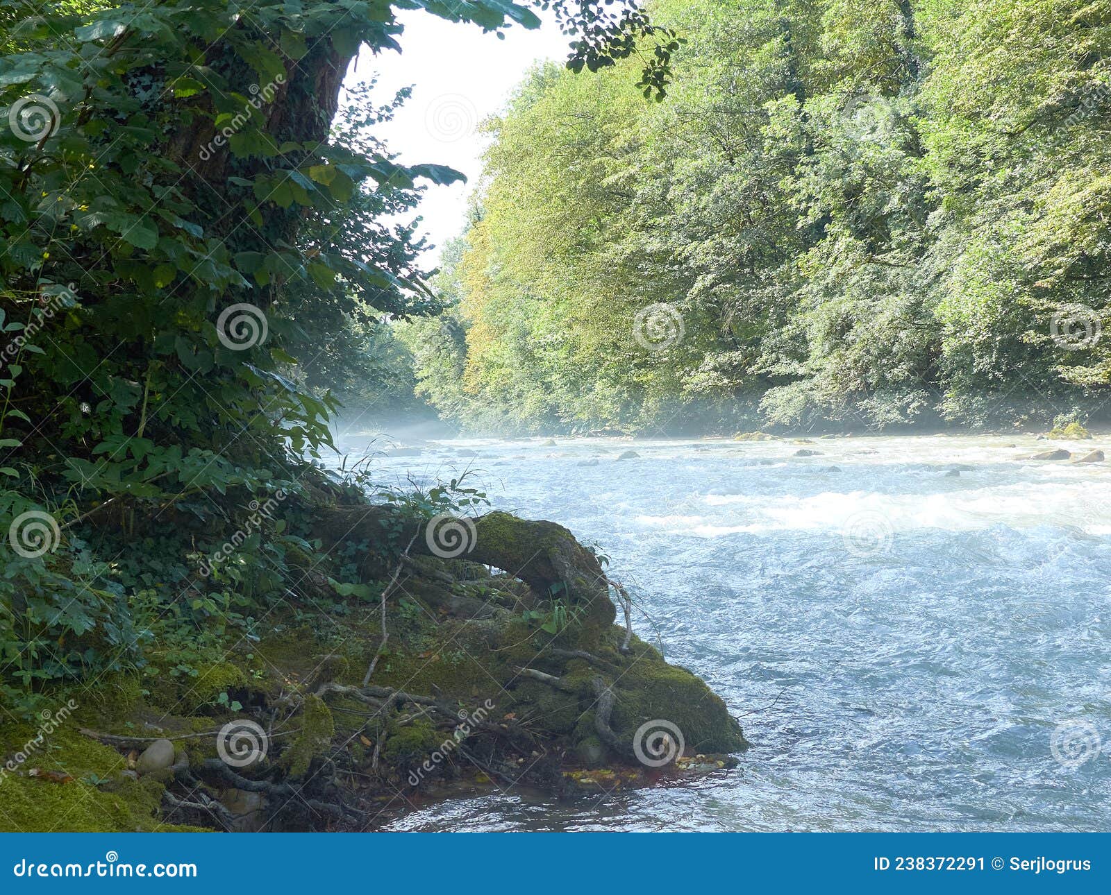 Mountain river. Pure water stock image. Image of rock - 238372291