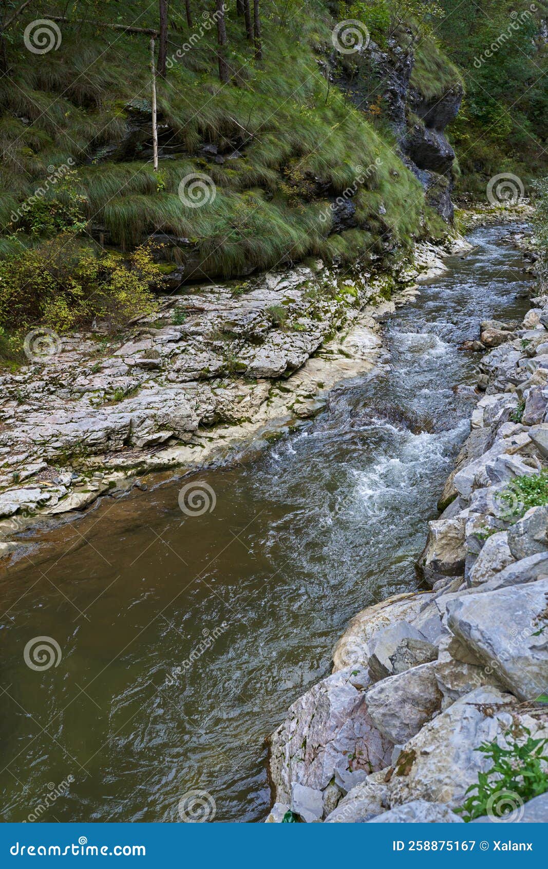 Mountain river on rock bed stock image. Image of pass - 258875167