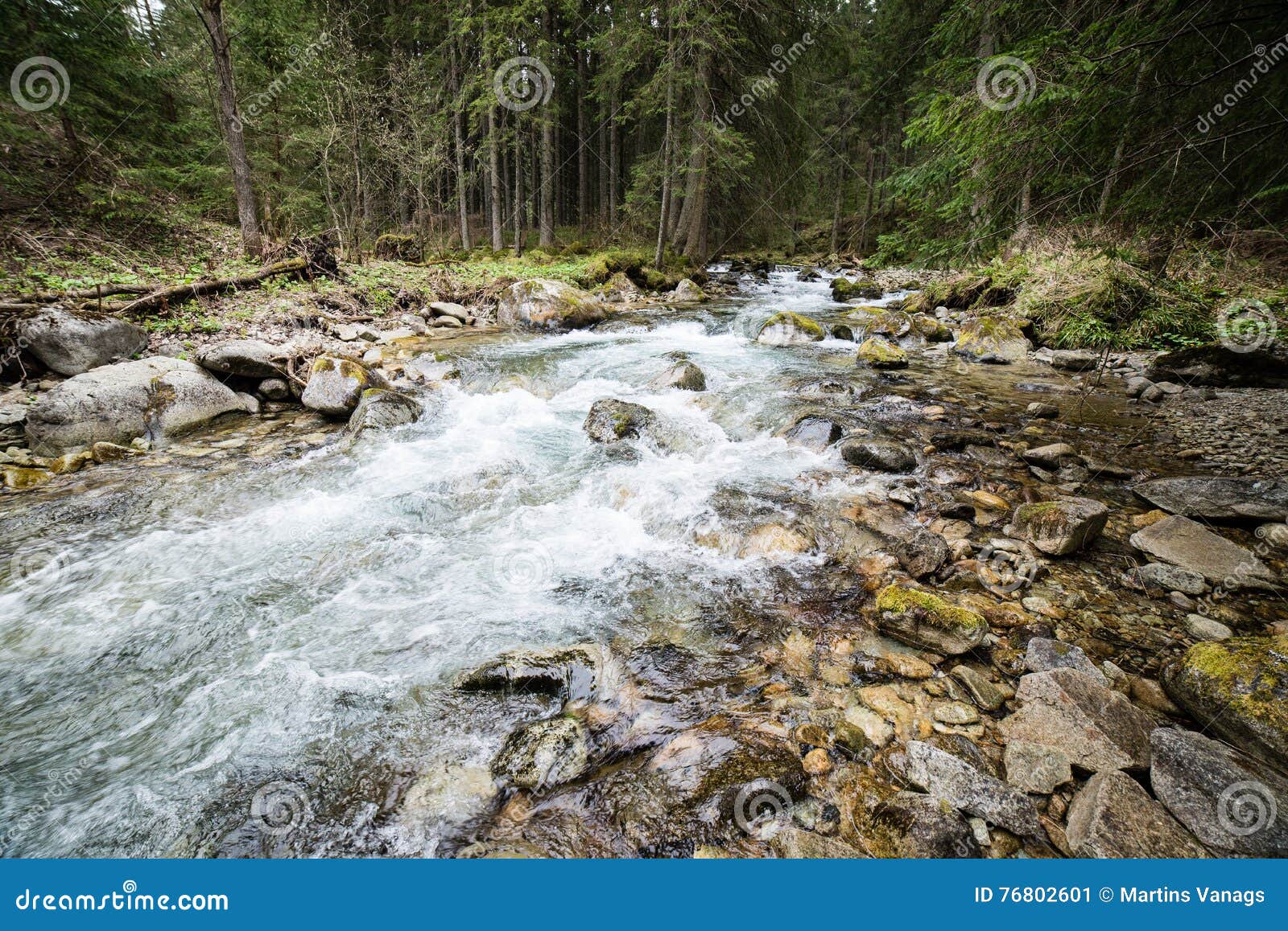 Mountain River with Rocks and Trees Stock Image - Image of river, sunny ...