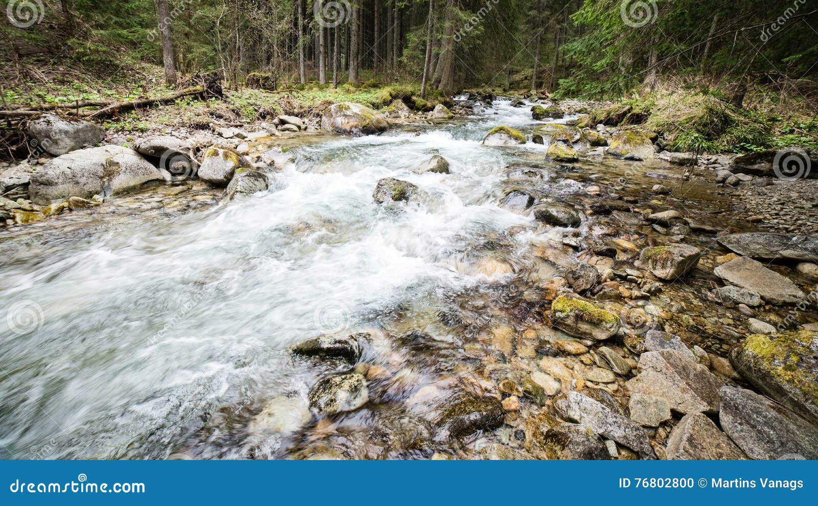 Mountain River with Rocks and Trees Stock Photo - Image of nature ...