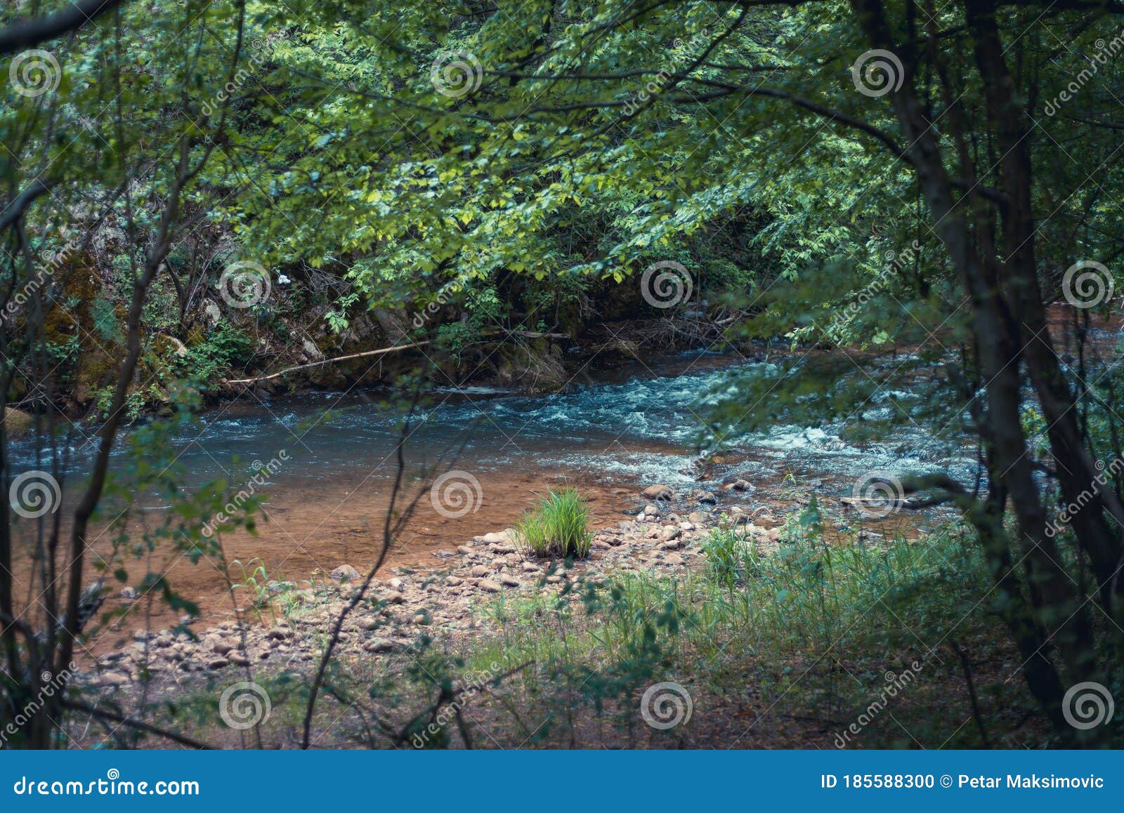 Mountain River Seen through Tree Branches Stock Photo - Image of ...