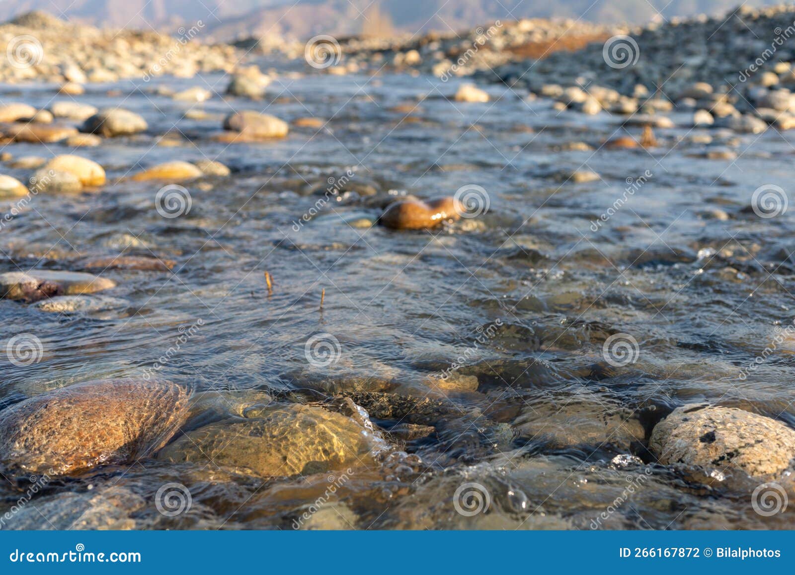 Mountain River Shallow Water Stream on a Sunny Day Stock Photo - Image ...