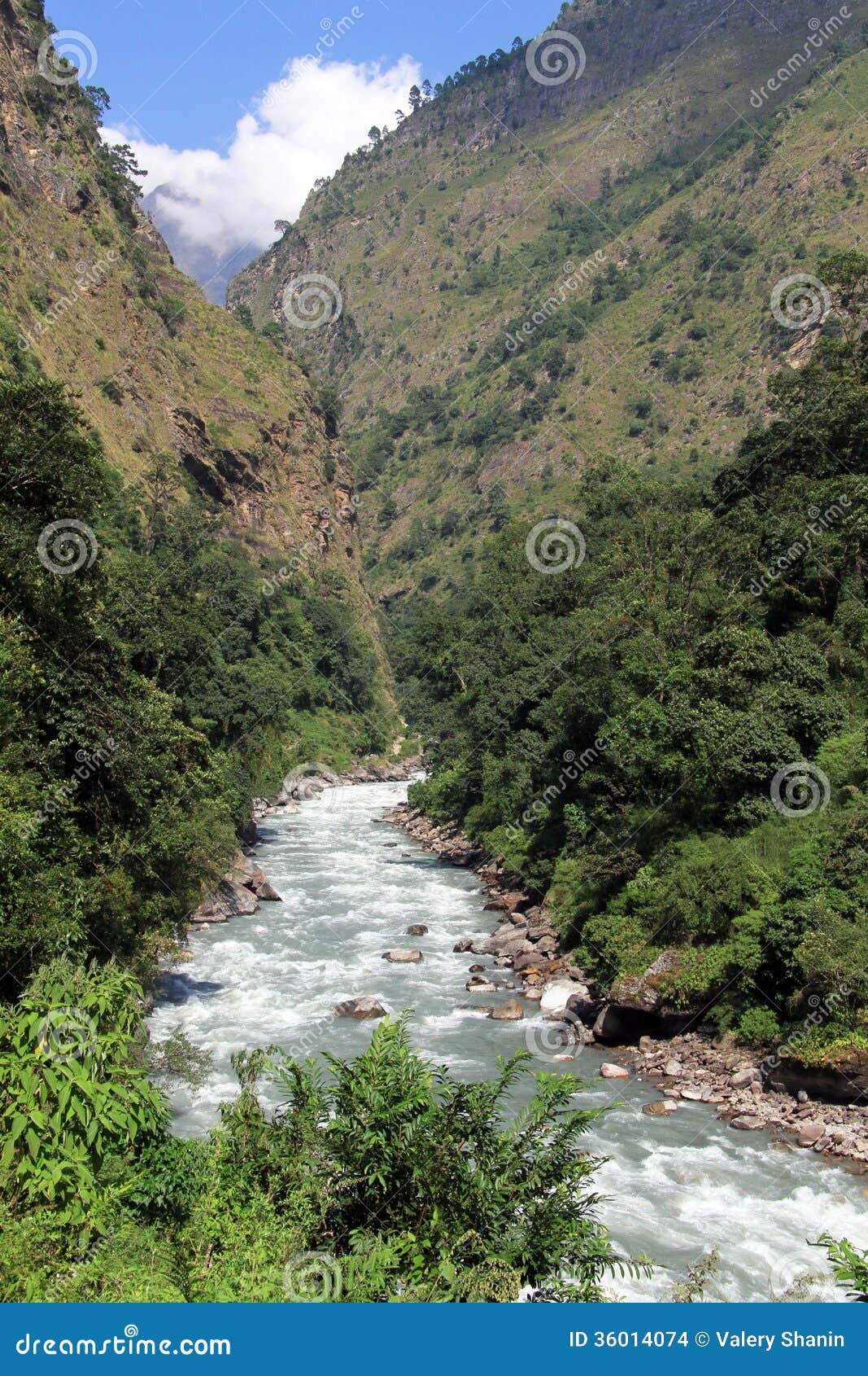 Mountain river stock photo. Image of spring, stream, rocks - 36014074