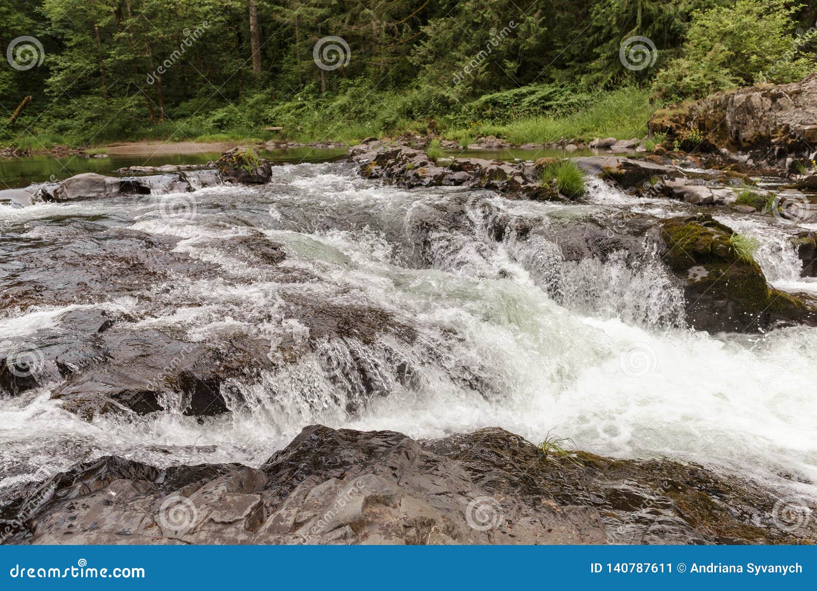 Mountain River with Small Waterfall, Rocks, Forest Stock Image - Image ...