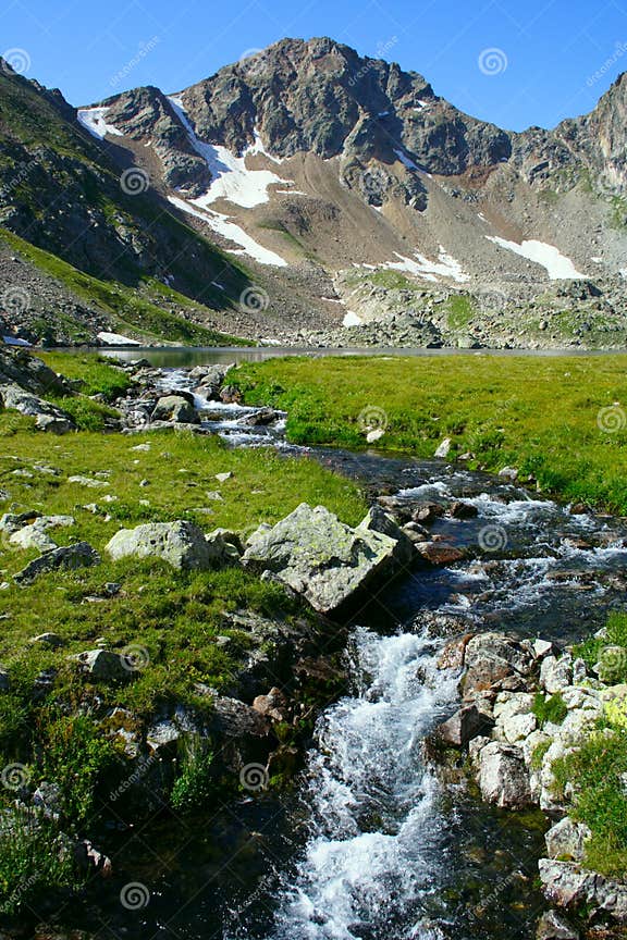 Mountain river source stock photo. Image of source, wilderness - 7651026
