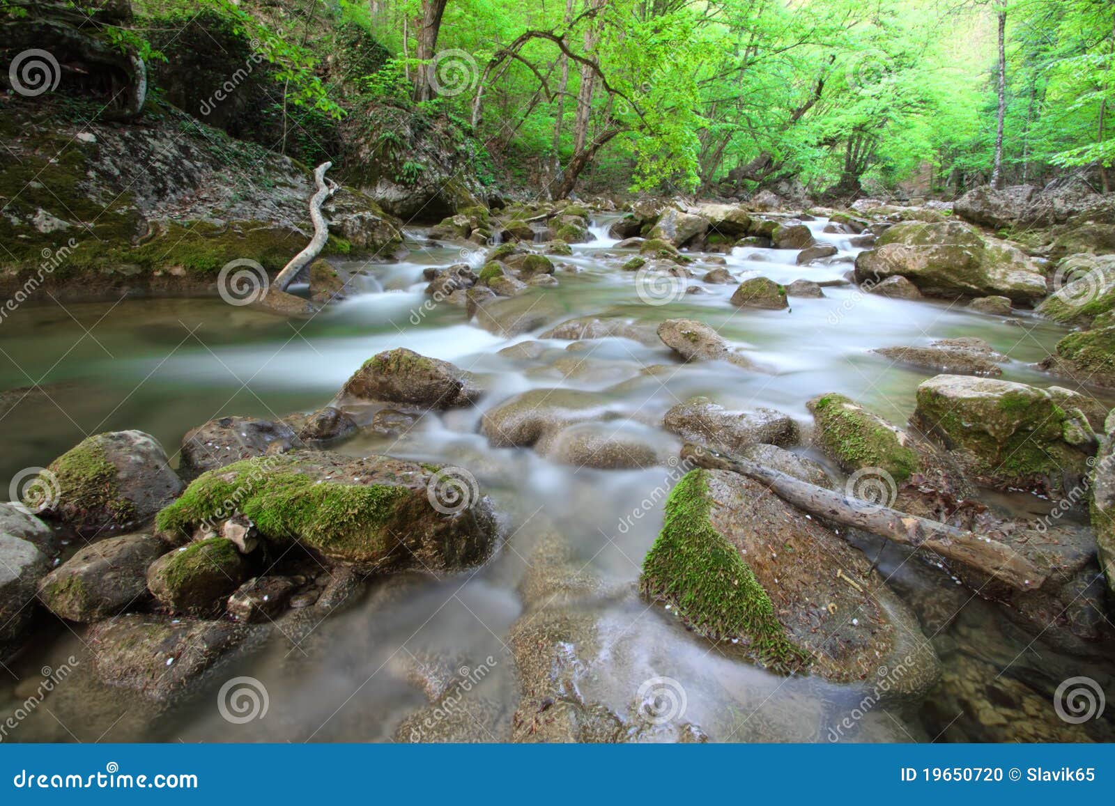 The Mountain River in the Spring with Dim Water Stock Photo - Image of ...