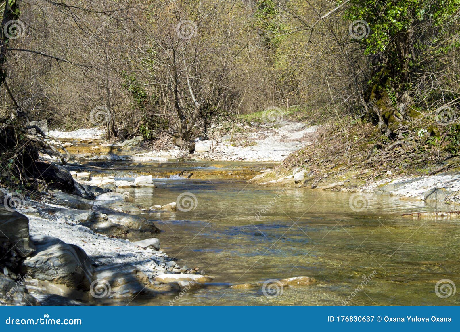 Mountain River in the Spring Forest Stock Image - Image of spring ...