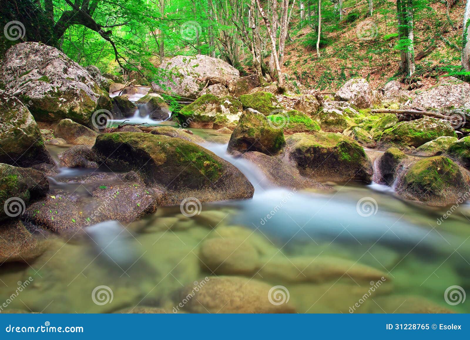 Mountain river in spring. stock image. Image of cascade - 31228765
