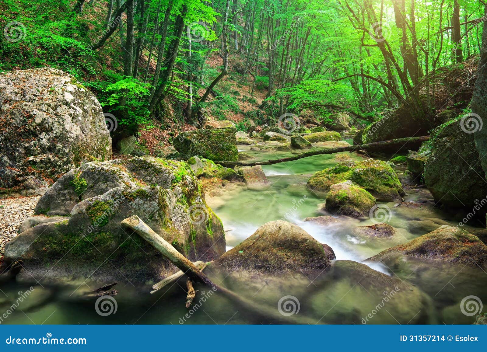 Mountain river in spring. stock photo. Image of high - 31357214