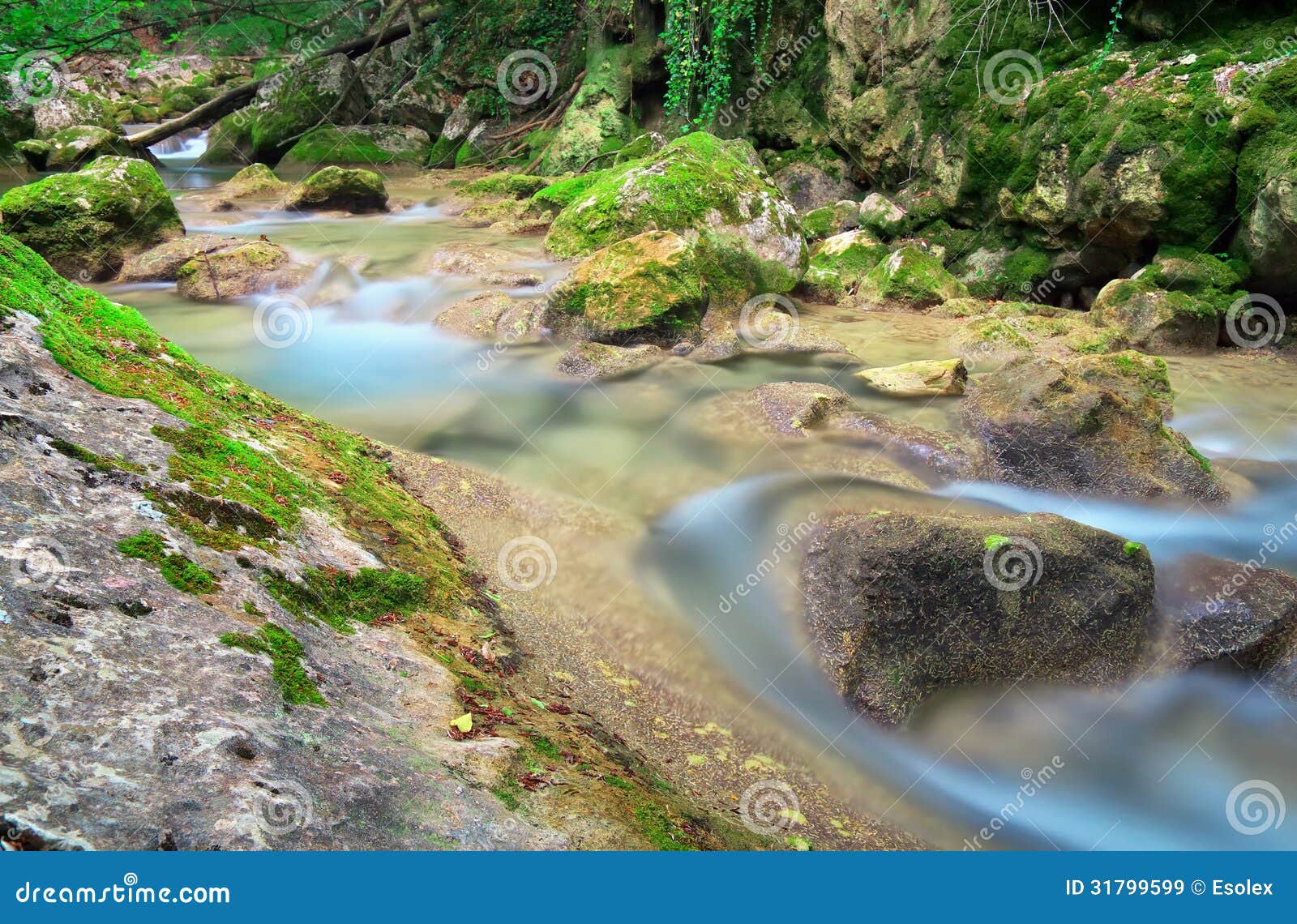 Mountain river in spring stock image. Image of ecology - 31799599