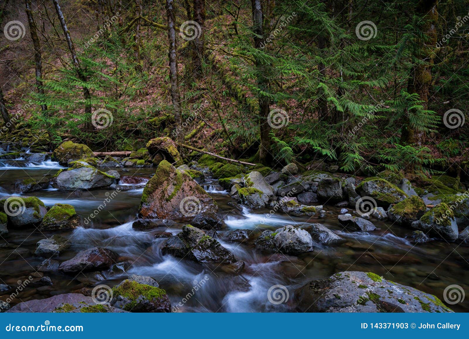 Rocky Brook Washington State in Spring Stock Image - Image of summer ...