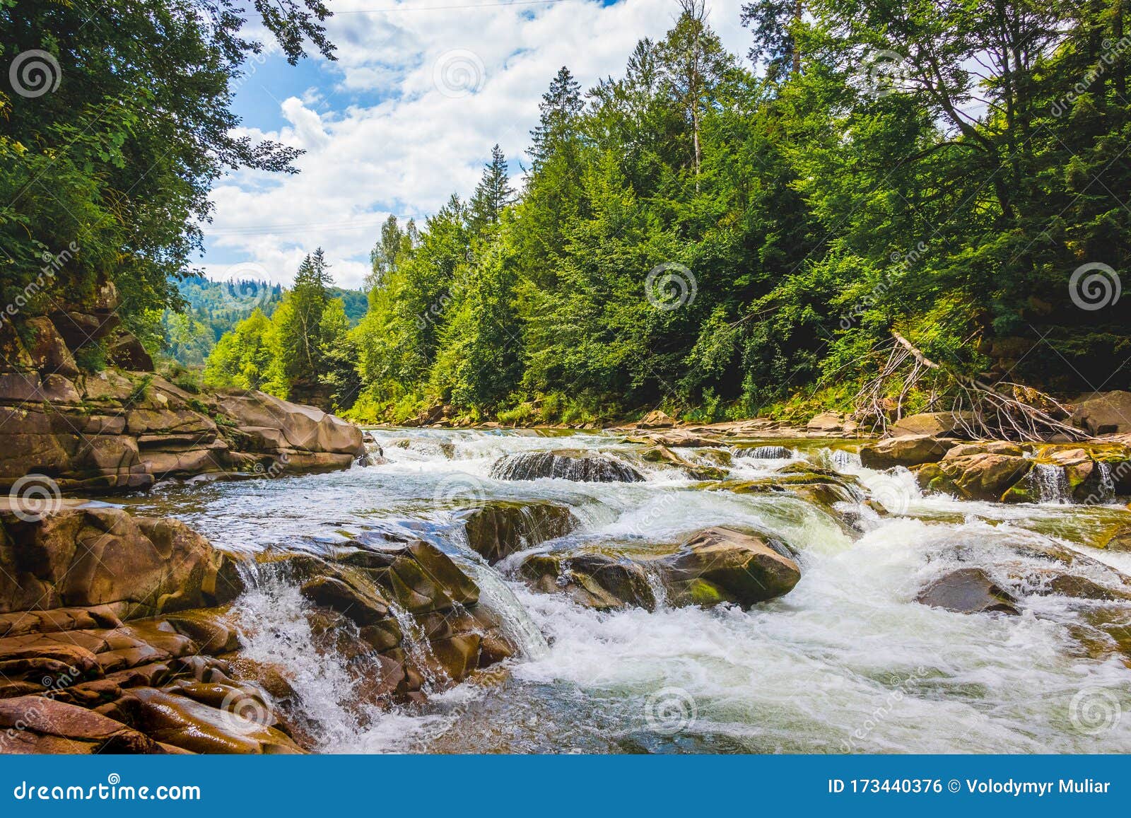 Mountain River with Stone Shore and Green Trees_ Stock Photo - Image of ...
