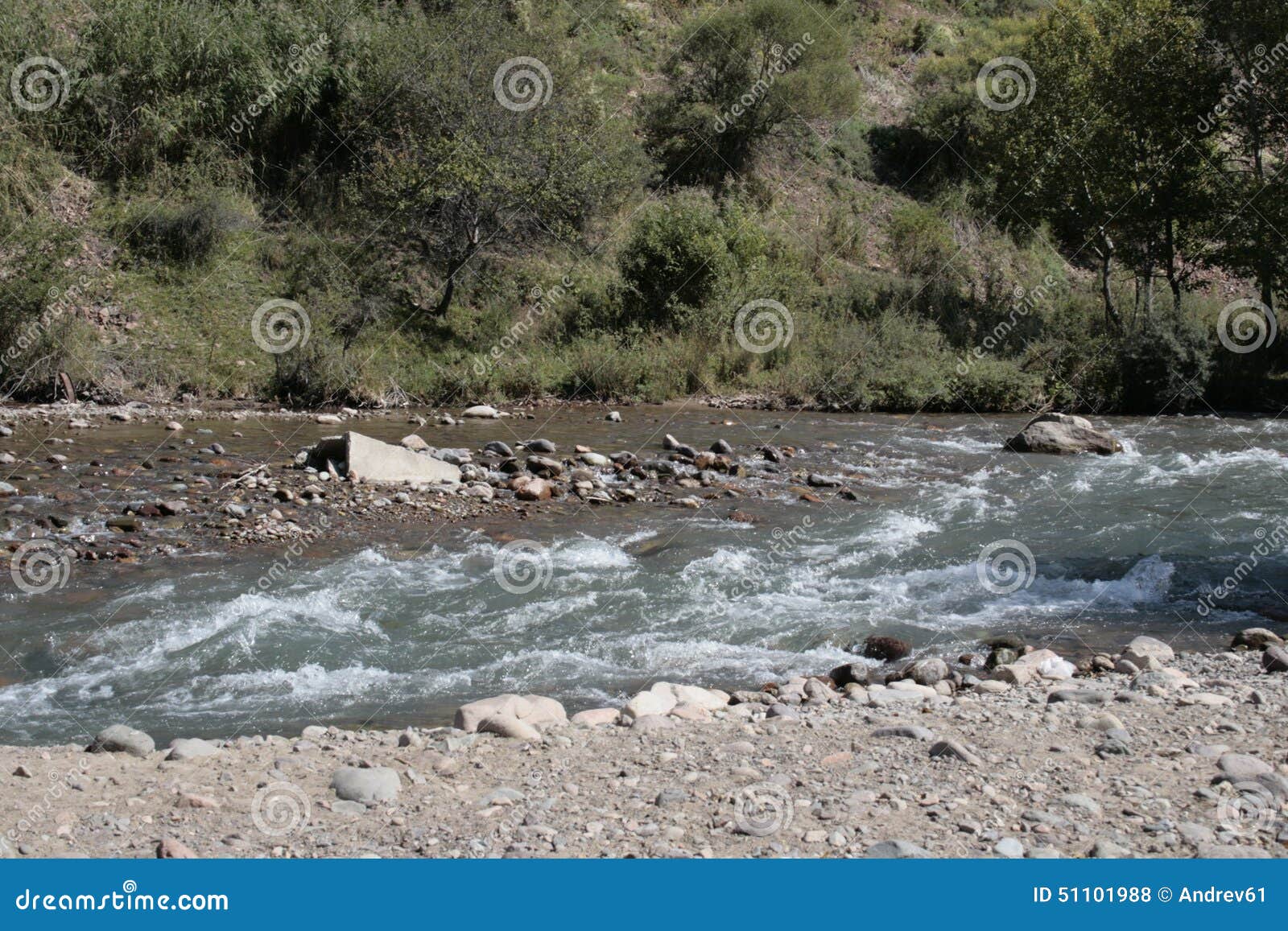 Mountain River , Stones in Water Stock Photo - Image of mountain ...