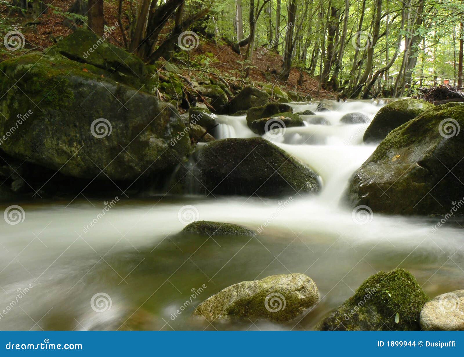 Mountain river stream stock photo. Image of sierra, flow - 1899944