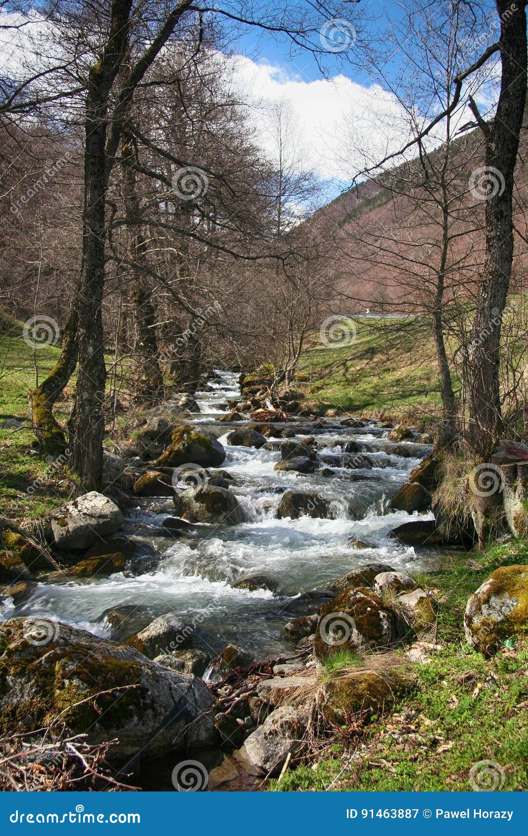 Mountain Stream in the Spring 2 Stock Image - Image of national ...