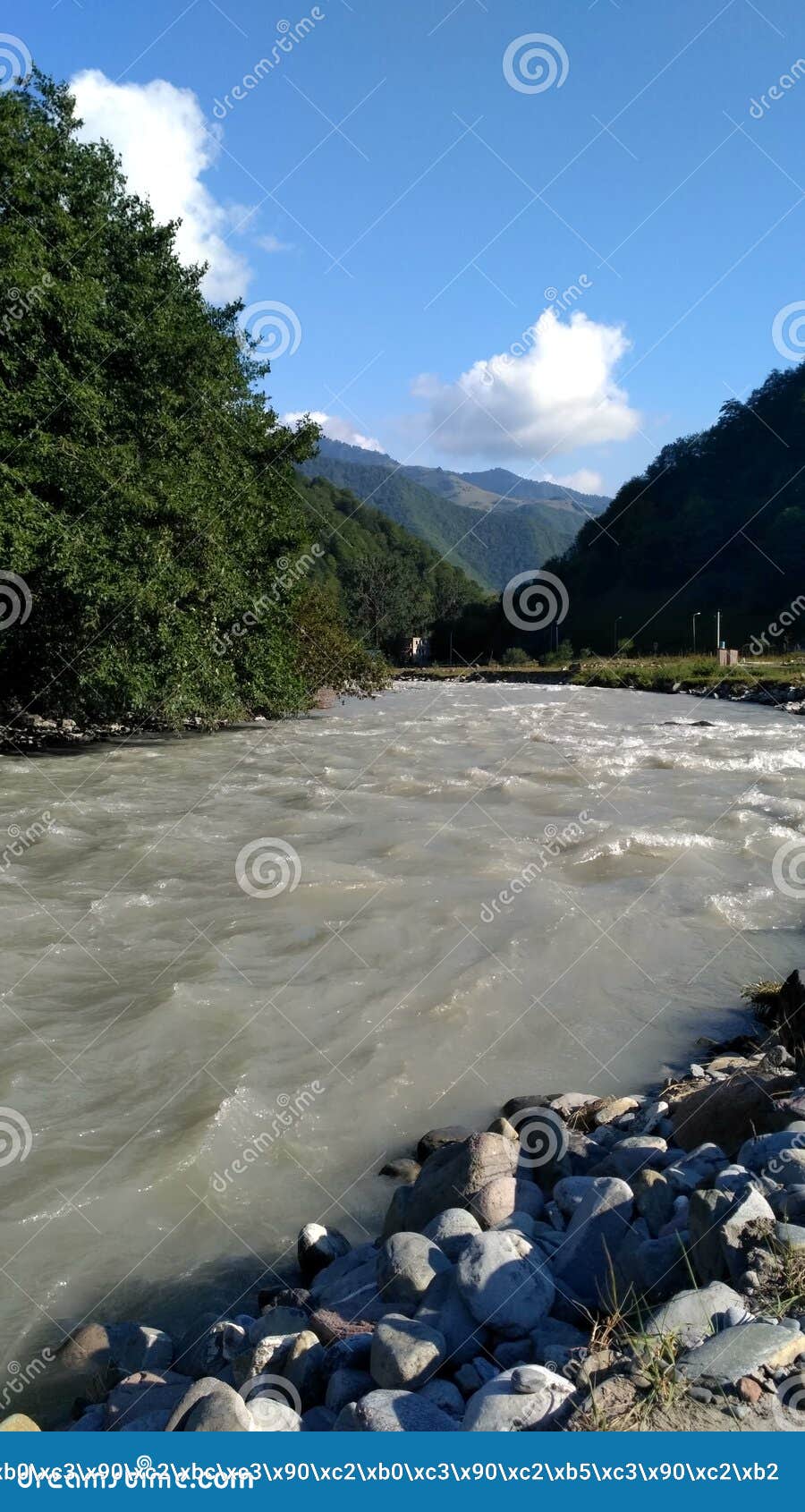 Mountain river stream stock image. Image of beautiful - 179511121