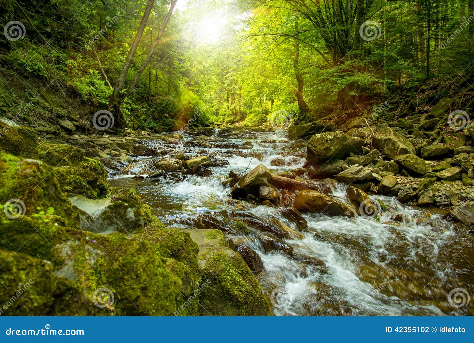 The Mountain River in the Sun Stock Photo - Image of green, pristine ...