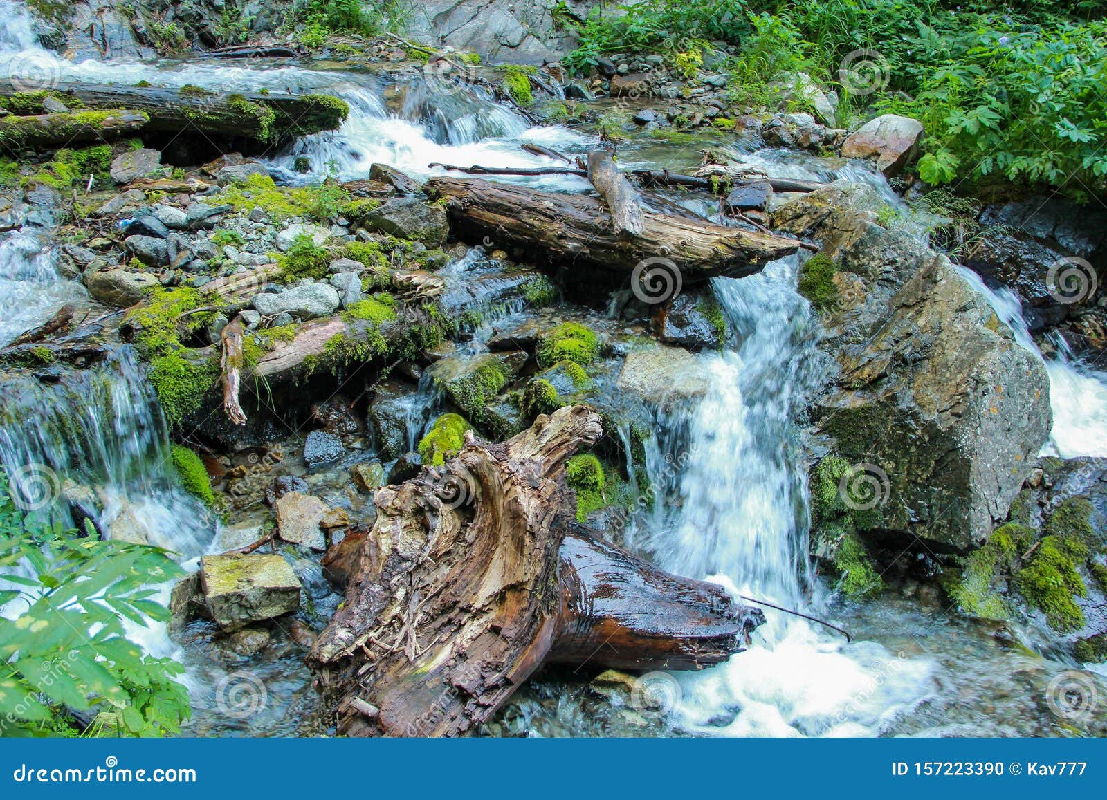 Mountain River with Tree Logs and Stones Stock Photo - Image of beauty ...