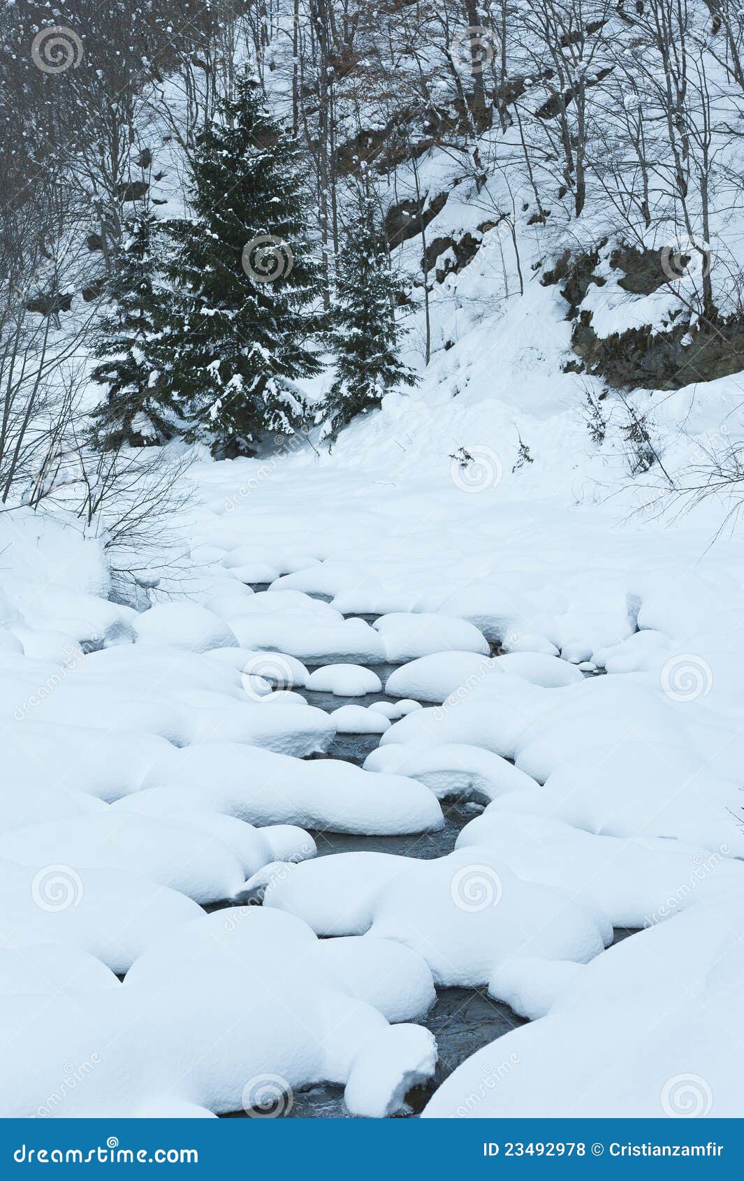 Mountain River among the Trees and Snow Stock Photo - Image of mountain ...