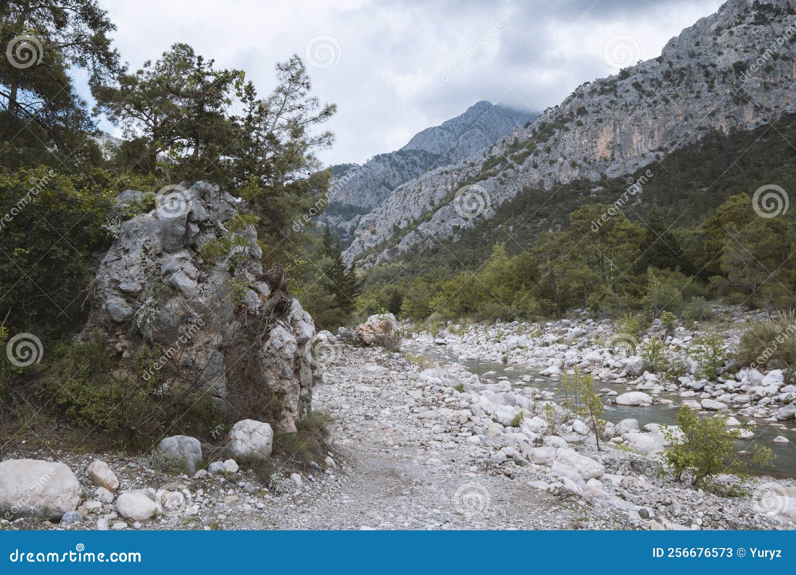 Mountain river in Turkey stock image. Image of nature - 256676573