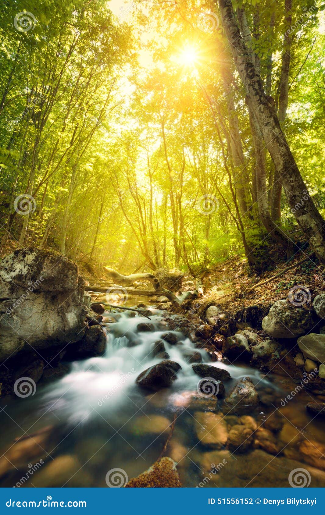 Mountain River Under Sunset Stock Photo - Image of plant, background ...