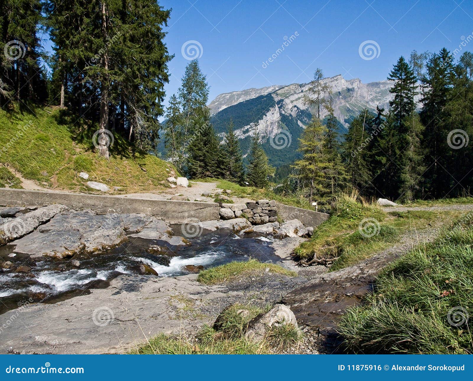 Mountain river view stock photo. Image of river, fall - 11875916