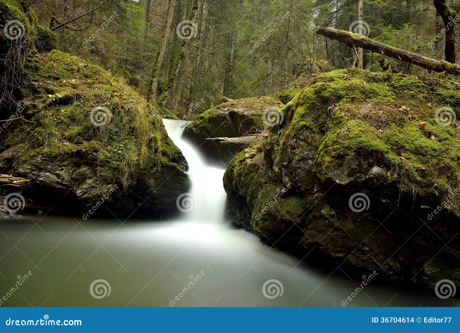 Mountain river stock photo. Image of nature, flowing - 36704614