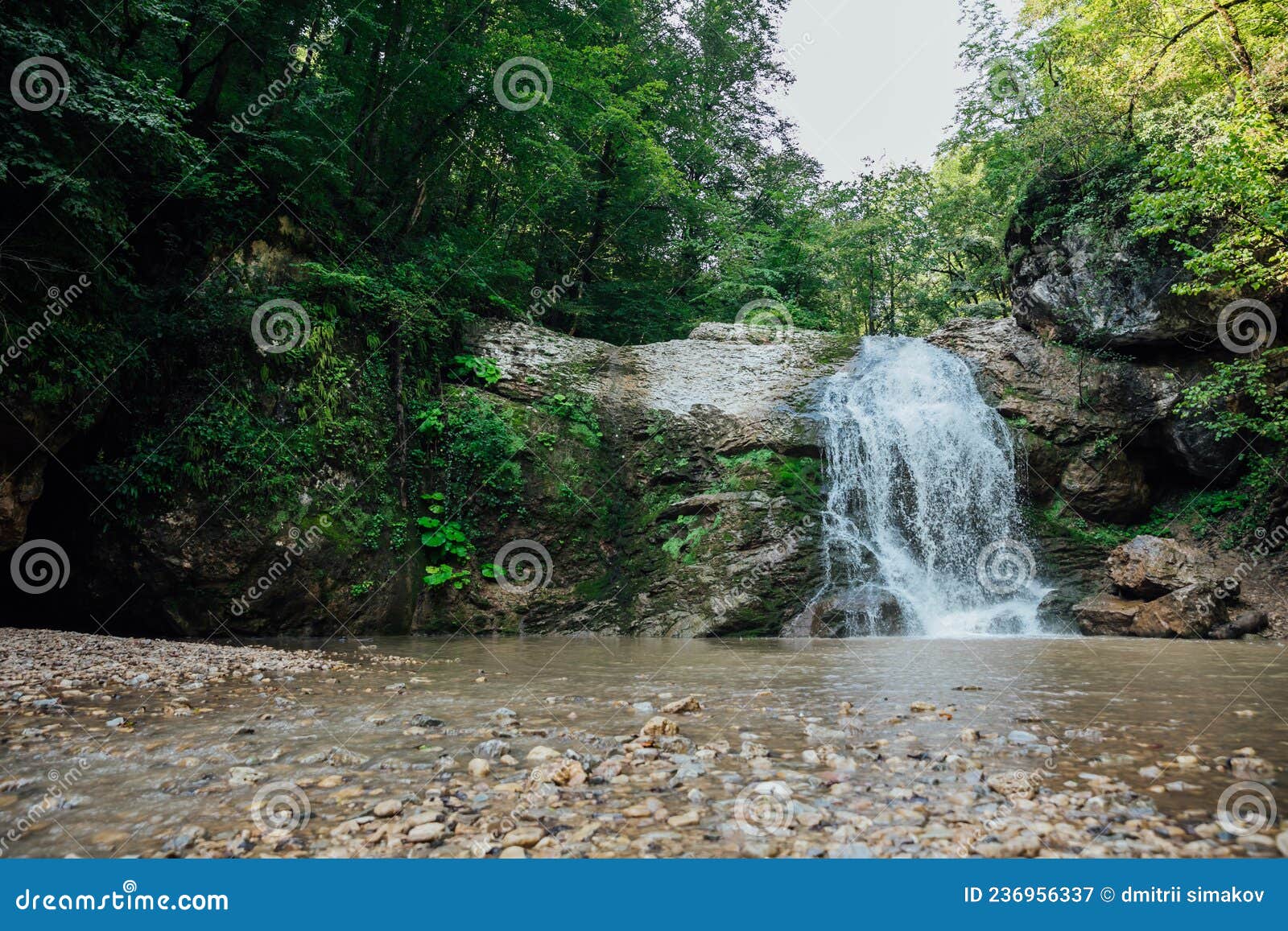 Mountain River Waterfall and Green Forest Landscape Stock Image - Image ...