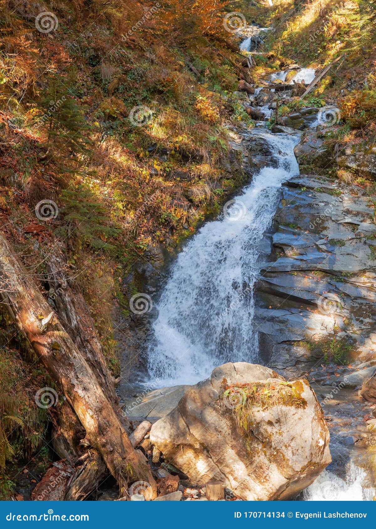 Mountain River with a Waterfall among Stones and Autumn Forest Stock ...