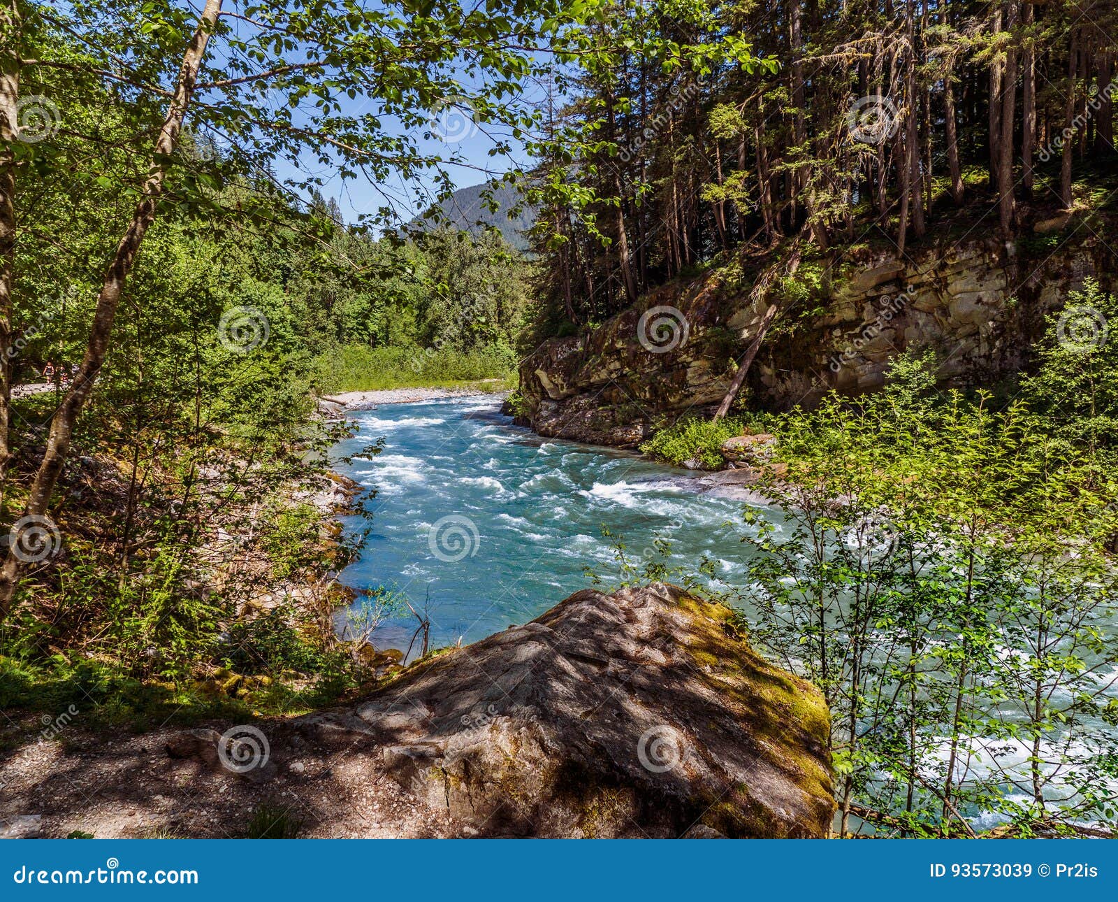 Mountain River with Wild Rapids Stock Image - Image of forest, rock ...