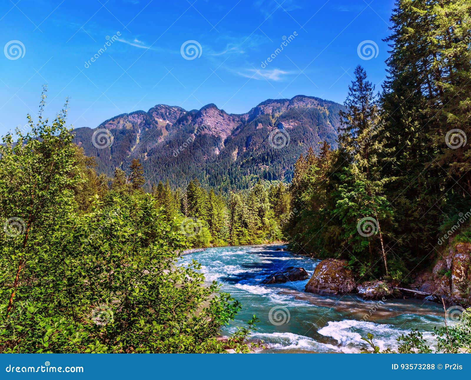 Mountain River with Wild Rapids Stock Photo - Image of hill, beauty ...